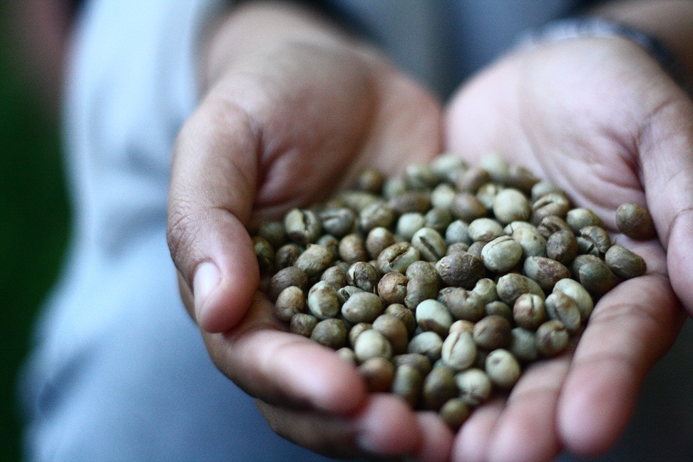 Situs Jual Mesin, Grinder & Alat Kopi | Otten Coffee