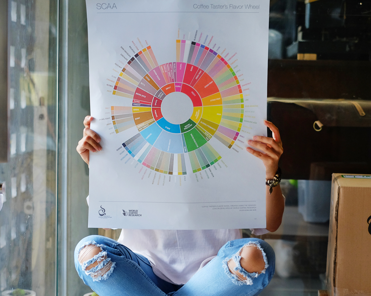 Situs Jual Mesin, Grinder & Alat Kopi | Otten Coffee