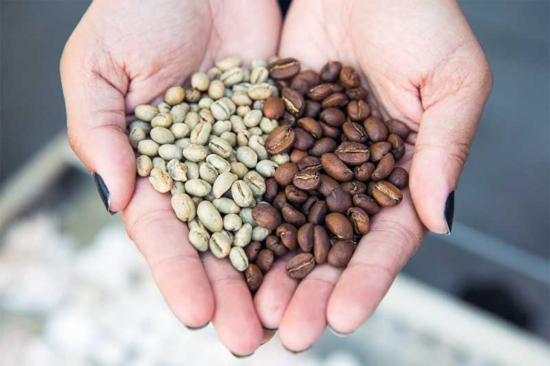 Situs Jual Mesin, Grinder & Alat Kopi | Otten Coffee