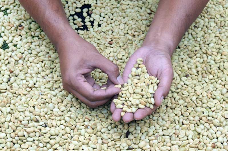 Situs Jual Mesin, Grinder & Alat Kopi | Otten Coffee